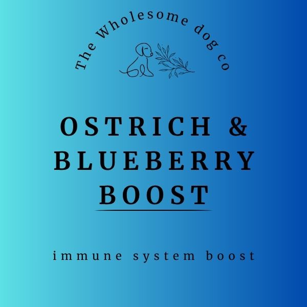 Ostrich & Blueberry Boost - FROZEN – The Wholesome Dog Co